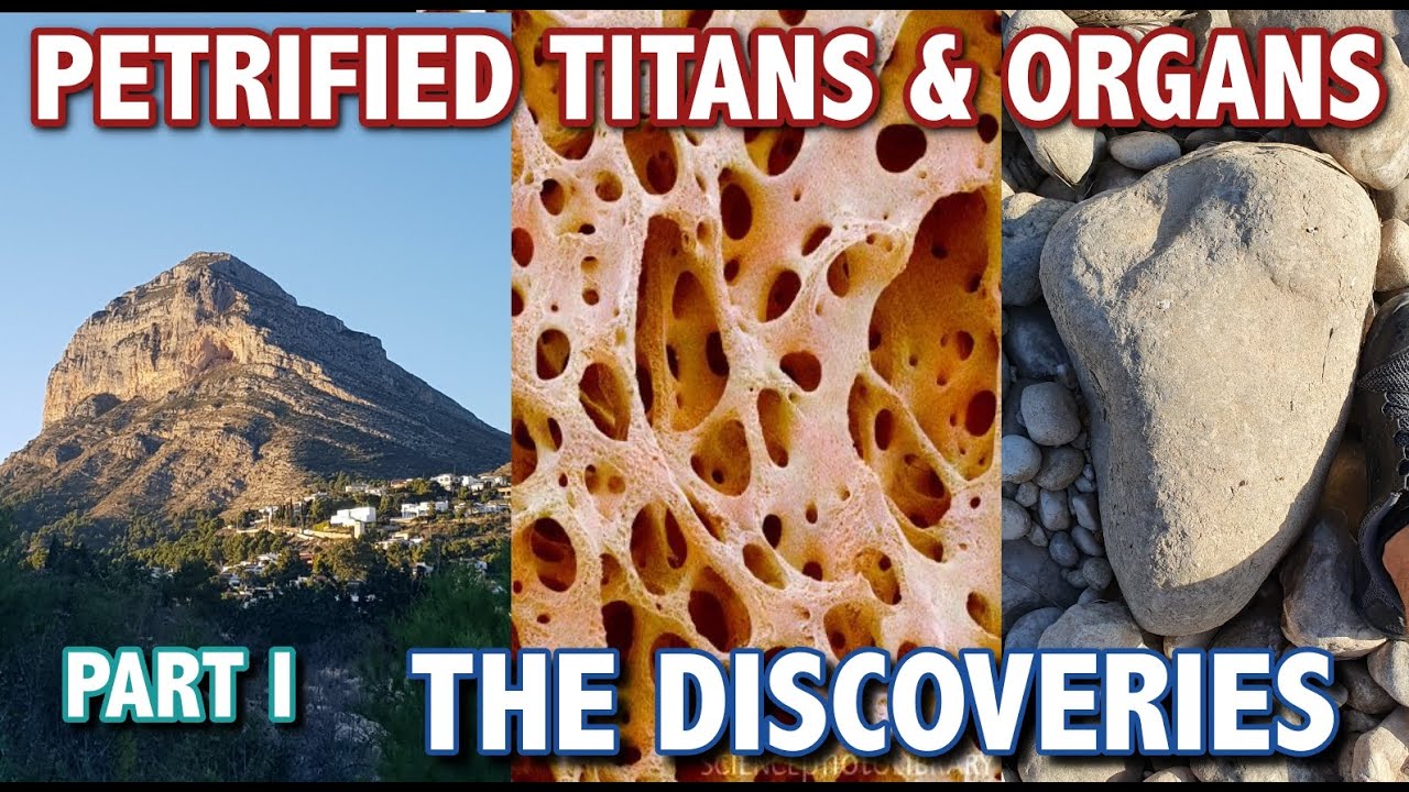 Petrified Titan - New World Disorder