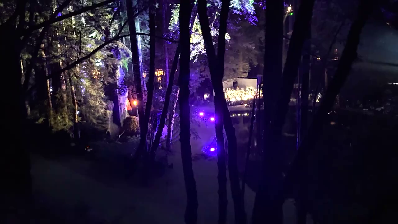 New Bohemian Grove Ritual Footage - New World Disorder